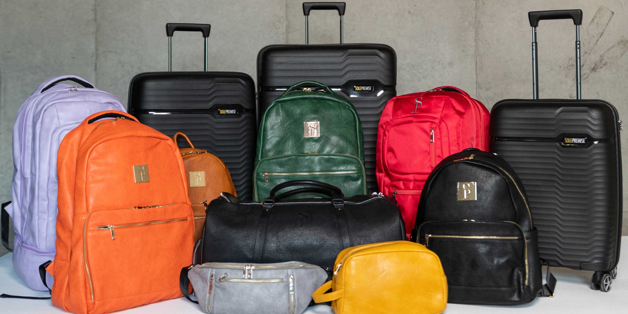 Sneaker Travel Bag - Carry On Backpack for Shoes and Clothes